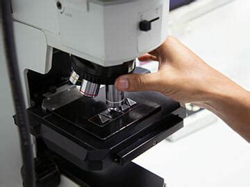 Metallography Microstructure And Analysis