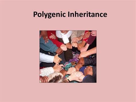 Polygenic Inheritance Definition
