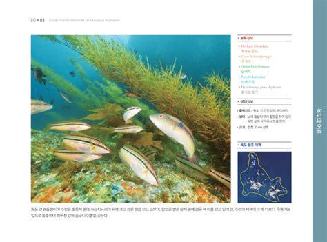 세밀화로 본 독도의 해양생물