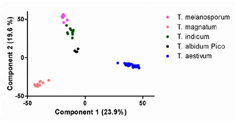 Principal Component Analysis Pca Sample Projection Of The First Two