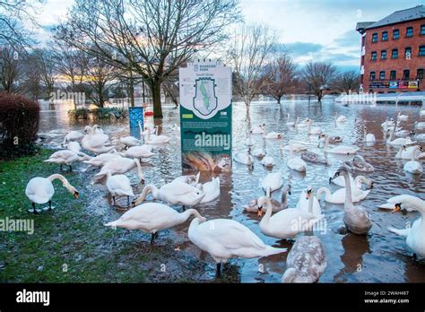 Worcesterworcestershireuk January 03 2024severe Flooding Caused By Worcesterworcestershireuk January 03 2024severe Flooding Caused By