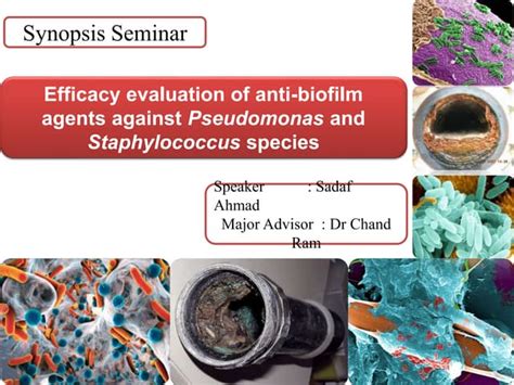 Biofilm Ppt