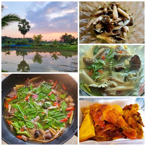 ปลาทูต้มส้มแขก🐟 เห็ดโคน🍄 ใส่ใบกระเพราป่า 🌿ซุปสมุนไพร🌶️🌶️🍵เหมาะกับช่วง