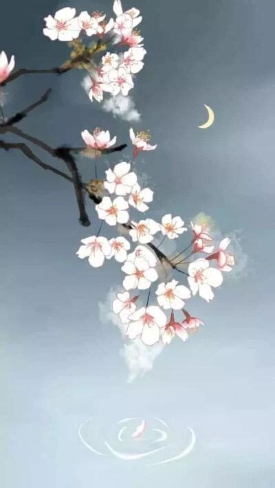 竖屏 高清图片，堆糖，美图壁纸兴趣社区