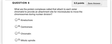 solved question 1 0 5 points save answer during prophase 1