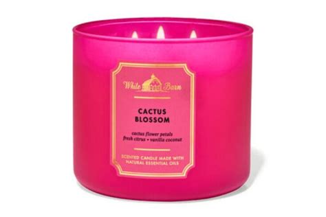 17 Best Bath And Body Works Candles Strongest Scents