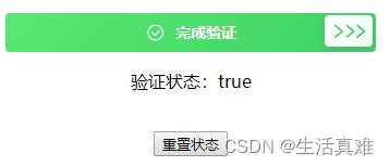 Vue 滑动到最右验证功能 技术栈