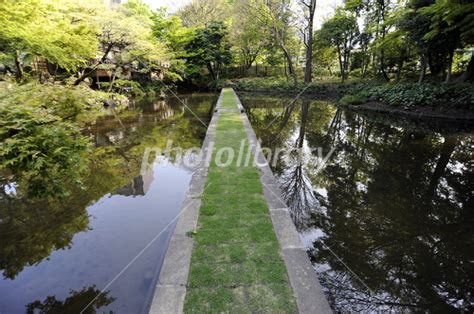 Photolibrary