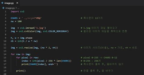 파이썬 이미지 파일 아스키 코드로 변환