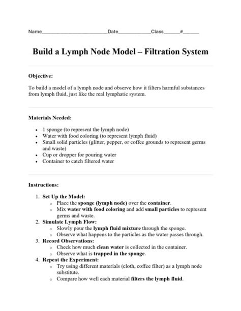 Lymph Node Model Lab Filter Germs From Lymph Fluid Using A Hands On
