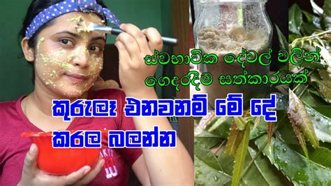 කුරුලෑ එනවනම් මේ දේ කරල බලන්න🥰😇 ස්වාභාවික දේවල් වලින් ගෙදරදි සත්කාරයක්👍 අනිවාරයෙන් බලන්න 👀