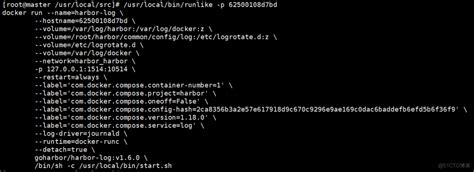 Docker 查看容器的启动命令 Csdn博客