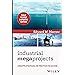 Amazon Industrial Megaprojects Concepts Strategies And