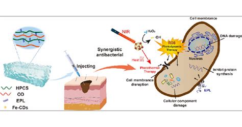 Self Healable And Injectable Nanocomposite Hydrogel Loading Iron Doped