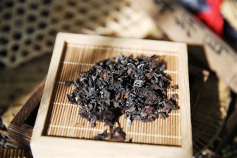 海藻中药图片素材 海藻中药设计素材 海藻中药摄影作品 海藻中药源文件下载 海藻中药图片素材下载 海藻中药背景素材 海藻中药模板下载 搜索中心