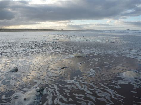 Coastal East Lothian September Song Richard West Geograph