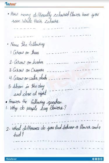 Buy Class 4 Evs The Valley Of Flowers Worksheet