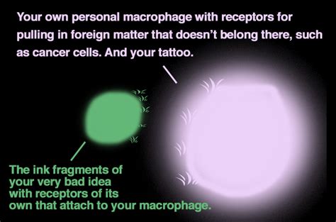 Macrophage Tattoo Ink Fragment Iambossy I Am Bossy