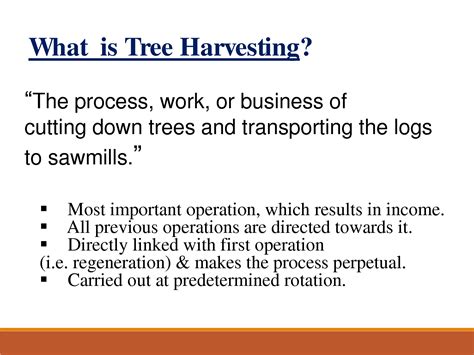SOLUTION 9 Tree Harvesting Timbers Of Pakistan And Their Uses Studypool