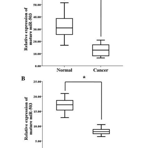 Mir 503 Expression Is Downregulated In Gastric Cancer Tissues And