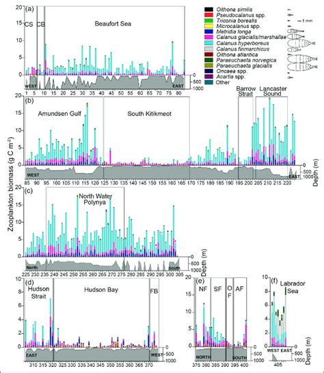 Contribution Of Main Taxa To Water Column Integrated Copepod Biomass In