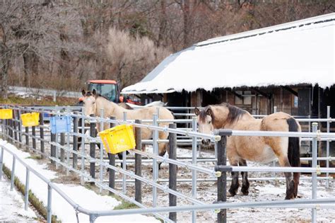 石筵ふれあい牧場（福島県） 【ロケ地 検索】全国ロケーションデータベース