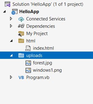 ASP NET Core и Visual Basic NET Загрузка файлов на сервер