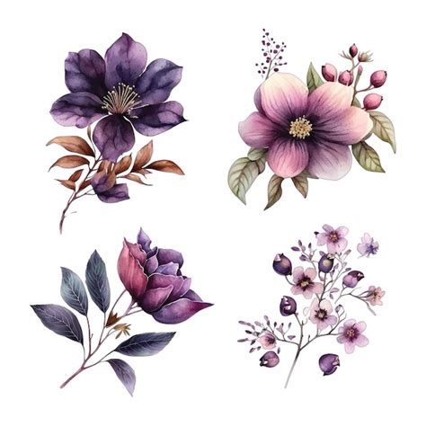 Conjunto de pintura de acuarela de flores de color púrpura Vector Premium