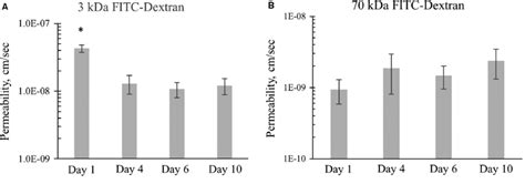 A Shows That 3 Kda Fitc Dextran Transepithelial Permeability At The
