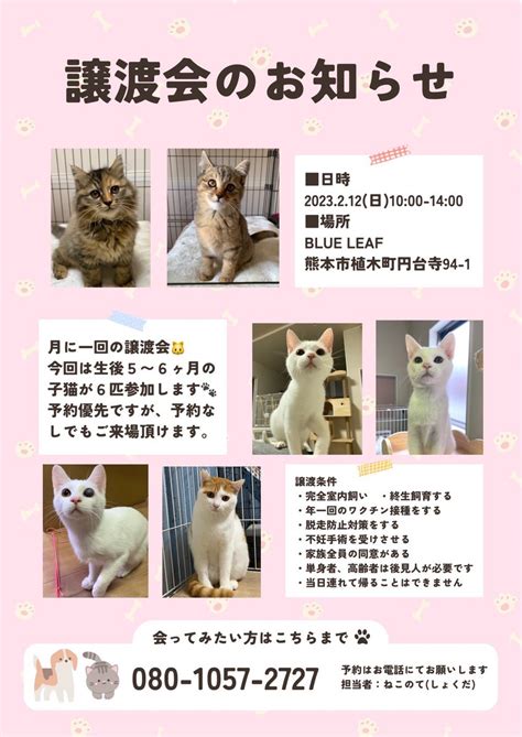 紫の尻尾 ふわも💜 On Twitter Rt Rockrock6244 Aims2koz 様のお知らせです🤗 是非ご連絡をして