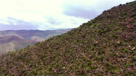 Cameron Mcgregor Posted On Linkedin