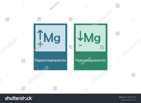 Hypermagnesemia Hypomagnesemia Magnesium Mg Excess Deficit Stock Vector