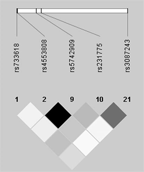 Linkage Disequilibrium Ld Plot Of Ctla 4 The Plot Was Generated