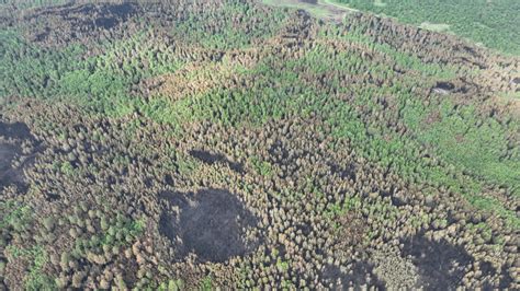 Ой хээрийн гал түймэр бүртгэгдсэн нь өнгөрсөн оны мөн үетэй