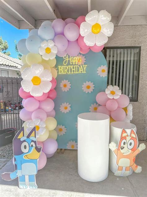 Bluey Birthday Party Theme Decorations