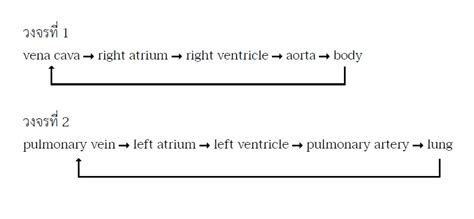เฉลยคำถามท้ายบทที่ 15