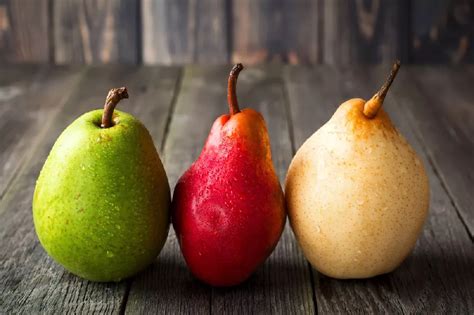 2 In 1 Pear Surprise Tree For Sale Buying And Growing Guide