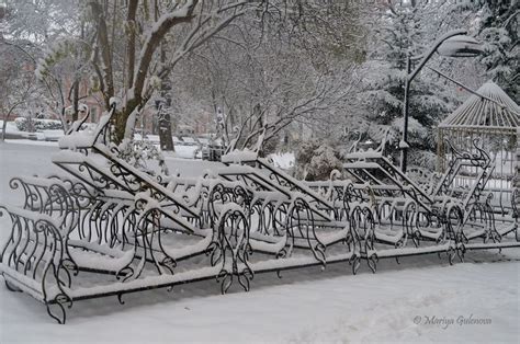 СОФИЯ Глътка свеж снежен зимен въздух Outdoor Snow