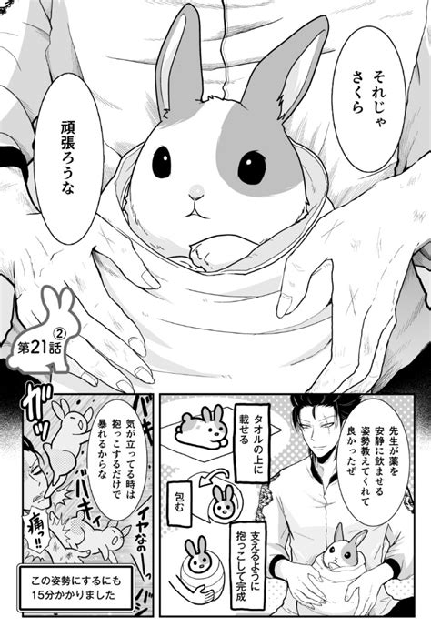 三上骨丸 ウサゴク連載中 on Twitter 本日pixivコミック更新のウサゴクは さくらがうっ滞になるお話になります うっ滞と