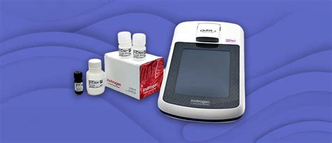 Qubit Dsdna Br Assay Kit Storage At Ethel Laskey Blog