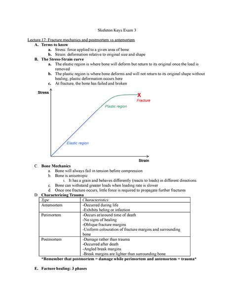 Skeleton Keys Exam 3 Lecture Notes And Textbook Notes Skeleton Keys Exam 3 Lecture 17