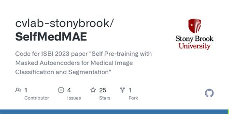 Issues Cvlab Stonybrook SelfMedMAE GitHub