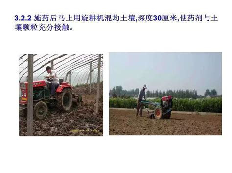 98地复康棉隆大棚防闷死棵结线虫土壤熏蒸杀菌剂5kg4包 阿里巴巴
