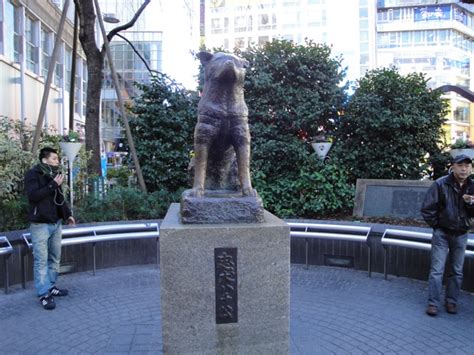 忠犬ハチ公のこと 東京ワンダーランド 楽天ブログ