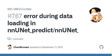 error during data loading in nnunet predict nnunet plan and preprocess