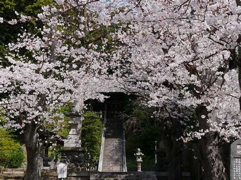 鎌倉 甘縄神明宮 天空仙人の神社仏閣めぐり Amanawa Shinmeimiya Shrine