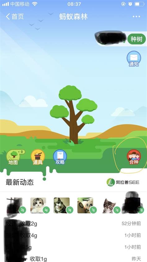 支付寶種樹又出新招，快來領取屬於你的甜蜜 每日頭條