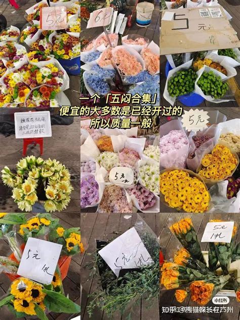 探访广州批发市场2 15鲜花低至5元一束真系咁抵 知乎