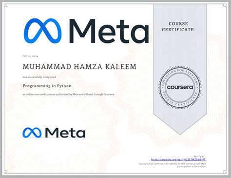 Python Programming Coding Softwaredevelopment Learning Certification Muhammad Hamza Kaleem