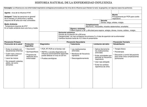 Historia Natural De La Enfermedad Influenza Luis Ivan Gonzalez Mora